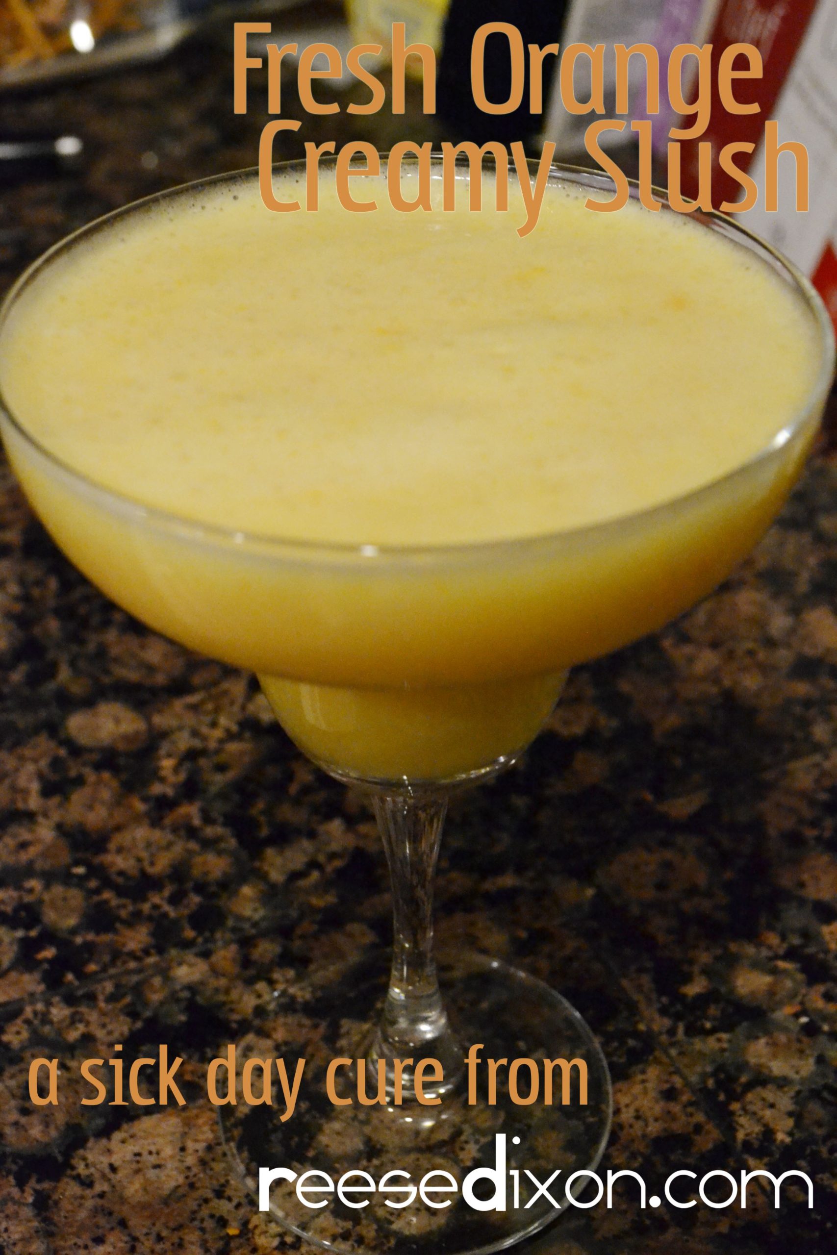 Fresh Orange Creamy Slush + A Giveaway! - Reese Dixon